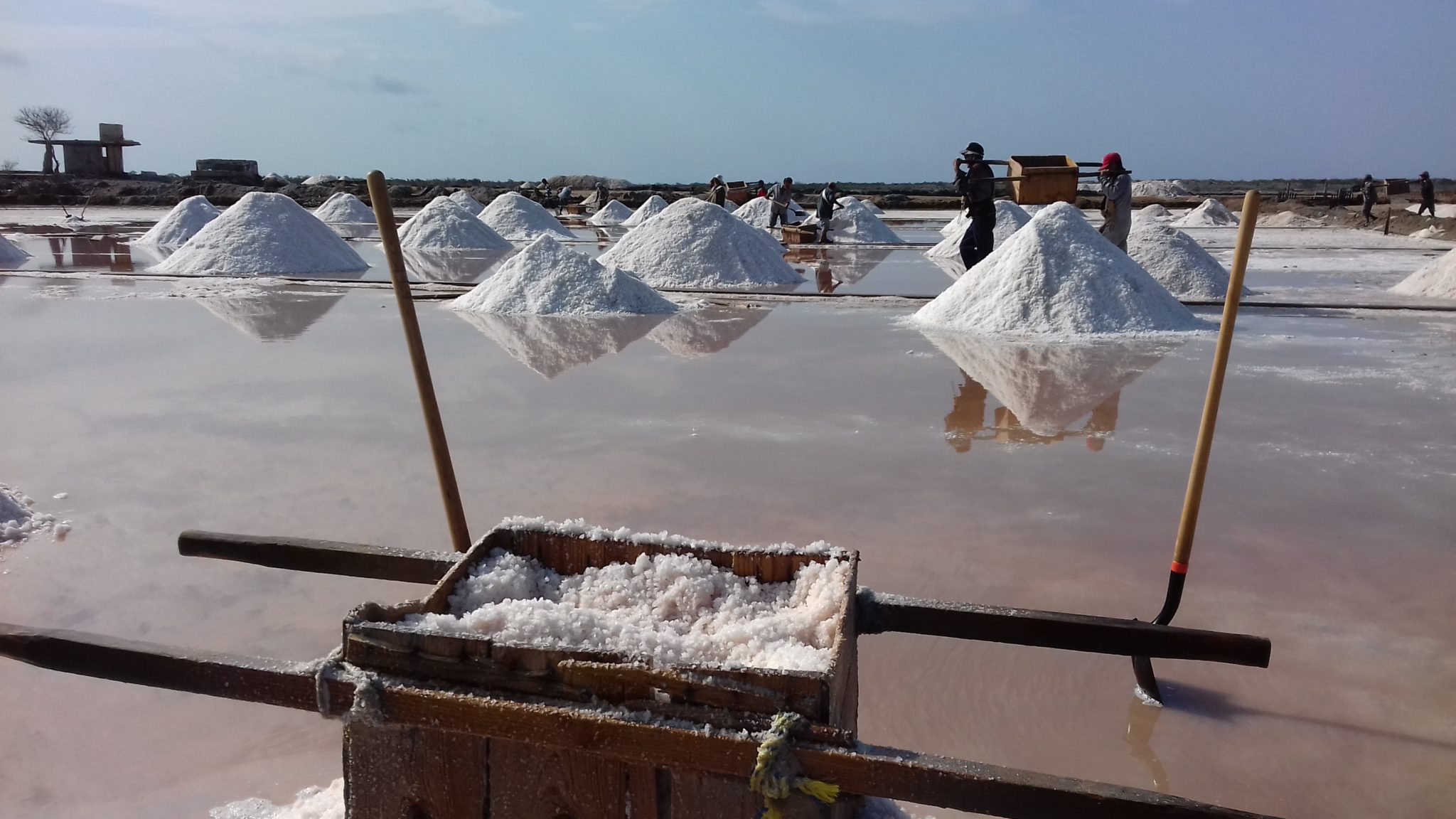 La Sal de Mar y sus Beneficios - Chromo Aromass